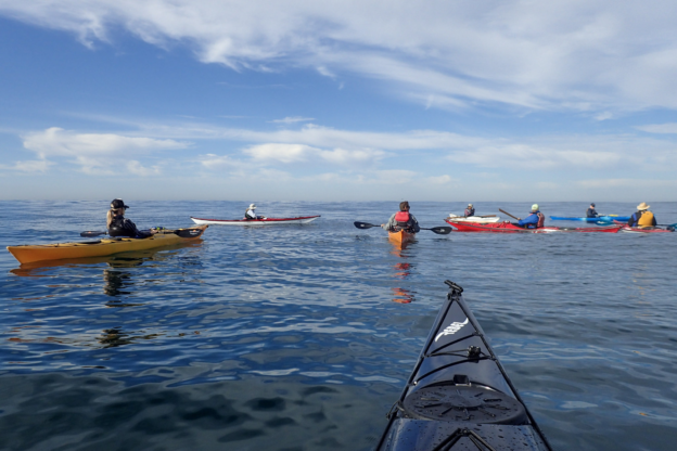 San Diego Kayak Club | Resources for kayaking around San Diego | Page 2
