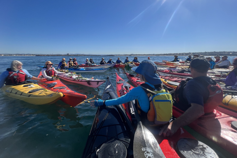 San Diego Kayak Club | Resources for kayaking around San Diego